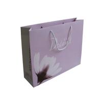 China custom small paper bag packaging for shoes with glossy lamination supplier for sale