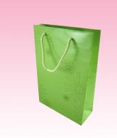 China custom printed paper advertising bag packaging with full color  factory for sale