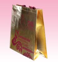 China custom reusable non woven polypropylene shopping bags pp non woven bag factory for sale