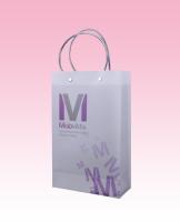 China custom biodegradable PVC plastic carrier bags shopping printing with handle rope for sale