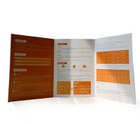 China custom luxury full color a5 tri fold leaflet flyer printing design manufacturer for sale