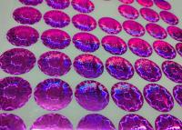 China Custom Round Hologram Sticker Holographic Security Sticker Label Manufacturer for sale