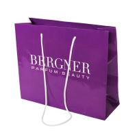 China Custom Printed Promotional Paper Gift Packaging Bags Wholesale with Hologram Logo for sale
