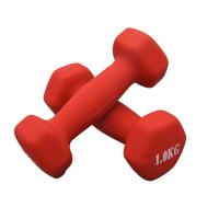 China 5kg 10kg 20kg Adjustable Gym Dumbbell Set Solid Cast Iron Dia 30mm For Fitness for sale
