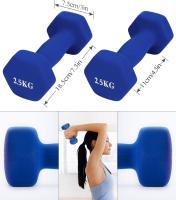 China 5kg 10kg 20kg Adjustable Gym Dumbbell Set Solid Cast Iron Dia 30mm For Fitness for sale