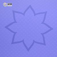 China 173*61cm TPE Yoga Mat crack resistance With Alignment Lines for sale