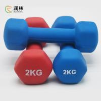 China Runlin Gym Dumbbell Set , Cast Iron 2KG Hex Dumbbells for sale