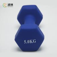 China Runlin Gym Dumbbell Set , Cast Iron 2KG Hex Dumbbells for sale