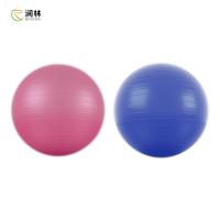 China PVC BPA Free Yoga Balance Ball , 45cm Fitness Stability Ball for sale
