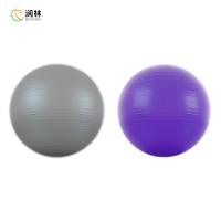 China Non toxic Pilates Exercise Ball , Physical Therapy 55cm yoga ball for sale