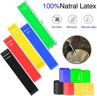 China Resistance Loop Exercise Bands With Instruction Guide And Carry Bag Set Of 5 for sale