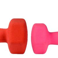 China 1-5 Kg Adjustable Women Gym Vinly Dumbbell Set For Fitness for sale