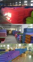 China Personalized Custom Tpe Pilates Yoga Mat Thick 6mm Foam Foldable With Logo for sale