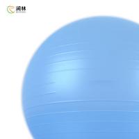 China Anti Burst Balance Exercise Ball Gym Exercise Yoga Ball With Hand Pump for sale