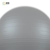 China Anti Burst Balance Exercise Ball Gym Exercise Yoga Ball With Hand Pump for sale