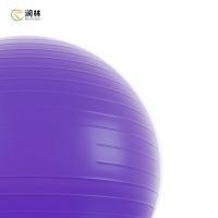 China Anti Burst Balance Exercise Ball Gym Exercise Yoga Ball With Hand Pump for sale
