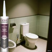 China Neutral Cure Mildew Resistant Silicone Sealant For Kitchen Bathroom Installation for sale