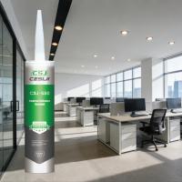 China General Purpose Construction Silicone Sealant Aging Resistant 300mL for sale