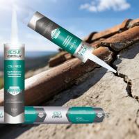 China Rapid-Cure Flexible Silicone Sealant – Weatherproof, UV & Water Resistant, Ideal for Outdoor & Exterior Walls for sale