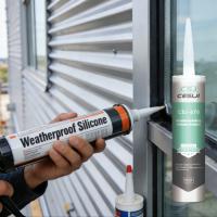 China Weatherproof Silicone Sealant – Rapid-Cure, Flexible for Outdoor Exterior Walls All-Weather, Waterproof Outdoor Use for sale
