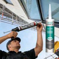 China Ultra Weatherproof Rapid-Cure Silicone Sealant – Waterproof, UV-Resistant & Highly Flexible for All Outdoor Exterior Wall Applications for sale