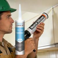 China Professional Neutral-Cure Silicone Sealant for Exterior Wall, Stone Bonding and General Construction Applications for sale