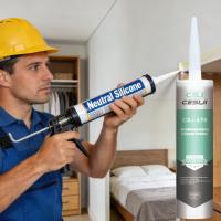 China Fast-Curing Weatherproof Silicone Sealant – Waterproof & UV‑Resistant, Ideal for Exterior Applications for sale