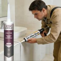 China Anti-Mold Neutral Cure Silicone Sealant for Bathroom Kitchen High Humidity Environment for sale
