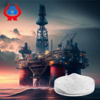 China CMC Oil Drilling Grade Powder for Saturated Salt Water Applications - 20,000 Tons Annual Capacity for sale