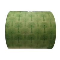 China EN 10169 Prepainted Ppgi Steel Coil for sale
