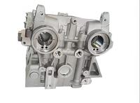 China Aluminum Cylinder Head SQR484 SQR484F SQR484B 2.0L DOHC 16V for Chery Tiggo A5 Eastar V5 Riich G5 IATF 16949 Certified for sale