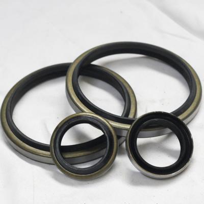 China DKB Series PU Hydraulic Pump Oil Seal for Dump Truck Engine Half Shaft - Custom Sizes with 20-30 Day Delivery for sale