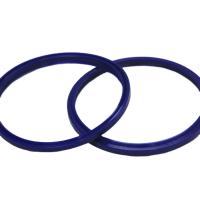 China FKM Rubber Oil Seal J/DHS Model with 20-90 Shore A Hardness for Hydraulic TC Equipment for sale