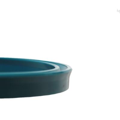 China Customized Oil Seal for Hydraulic Cylinders Transparent Packaging Solutions Provided for sale