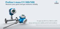 China E+H Original 6F3B50-AAIMABEFAASAD2SKA2 F300 DN50 HART 4 20mA Compressed Air Nitrogen Natural Gas Process Mass Flow Measurement for sale