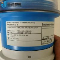 China 100% New Original Endress-Hauser Ultrasonic Measurement FMU30-AAHEAAGGF a Good Price in Stock 1 Year Warranty for sale
