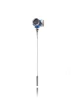 China 100% New Original E+h High Temp High Pressure Guided Wave Radar Level Meter Levelflex FMP56 a Good Price in Stock 1 Year for sale