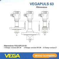 China VE-GA VEGAPULS63 Original 26-GHz Radar Level Transmitter for Corrosive & Hygienic Liquids in Stock for sale