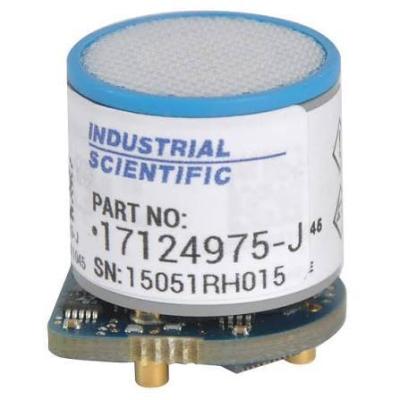 China 17124975 ‑ J CO / H2S Combined Sensor for MX6 iBrid Gas Detector for sale