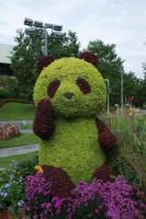 China Decorative Installations for Scenic Areas & Parks: Simulated Greenery, Animals (Pandas, Rabbits, Deer), Moss, Mushrooms, and Plush Pastoral-Style Ornaments for sale