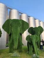China Custom Fiberglass Animal Statue with Artificial Topiary Grass for Outdoor Garden Decoration for sale