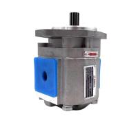China A220301000288 Sany Crane Parts High Pressure Hydraulic Oil Pump Gear Pump CBY2040-212 for sale