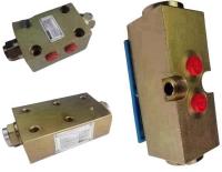 China 1010300282 1010304623 1010300275 Zoomlion Crane Parts Outrigger Lock Two Way Hydraulic Lock for sale