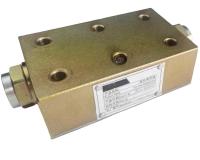 China 1010300282 1010304623 1010300275 Zoomlion Crane Parts Outrigger Lock Two Way Hydraulic Lock for sale