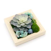 China Wooden frame for holding photo picture  plant for sale