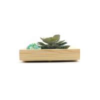 China Wooden frame for holding photo picture  plant for sale