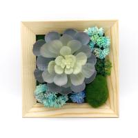 China Wooden frame for holding photo picture  plant for sale