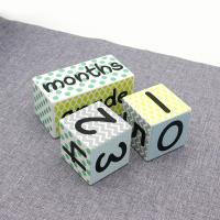 China Custom Baby Wooden Milestone Blocks DIY Big Wooden Block for sale