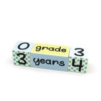 China Custom Baby Wooden Milestone Blocks DIY Big Wooden Block for sale