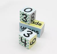 China Custom Baby Wooden Milestone Blocks DIY Big Wooden Block for sale
